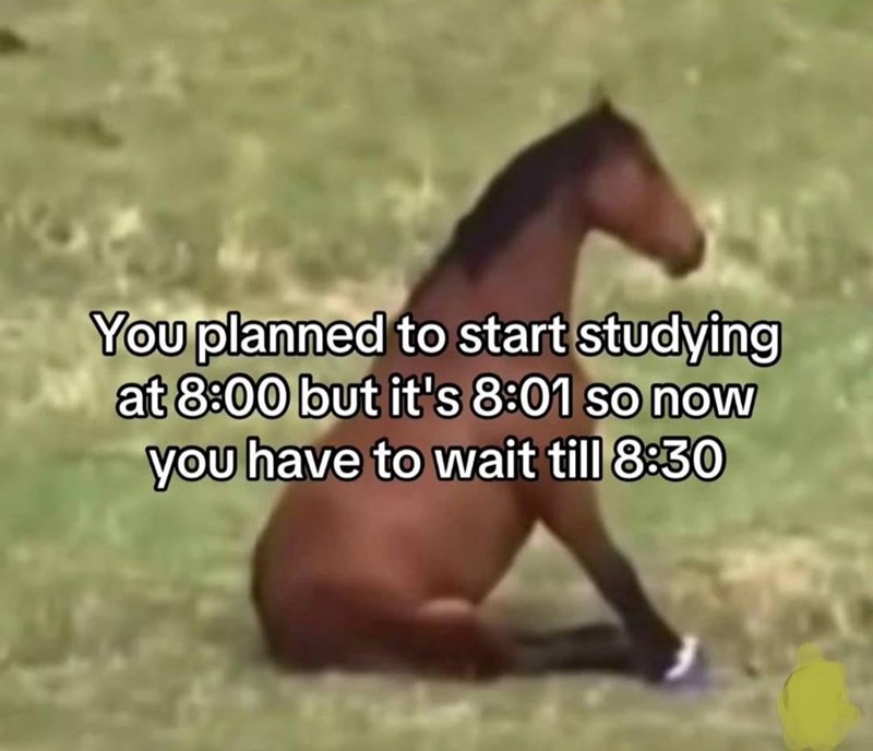 20+ Galloping Giggles of Horse Memes to Brighten Life’s Mane Moments