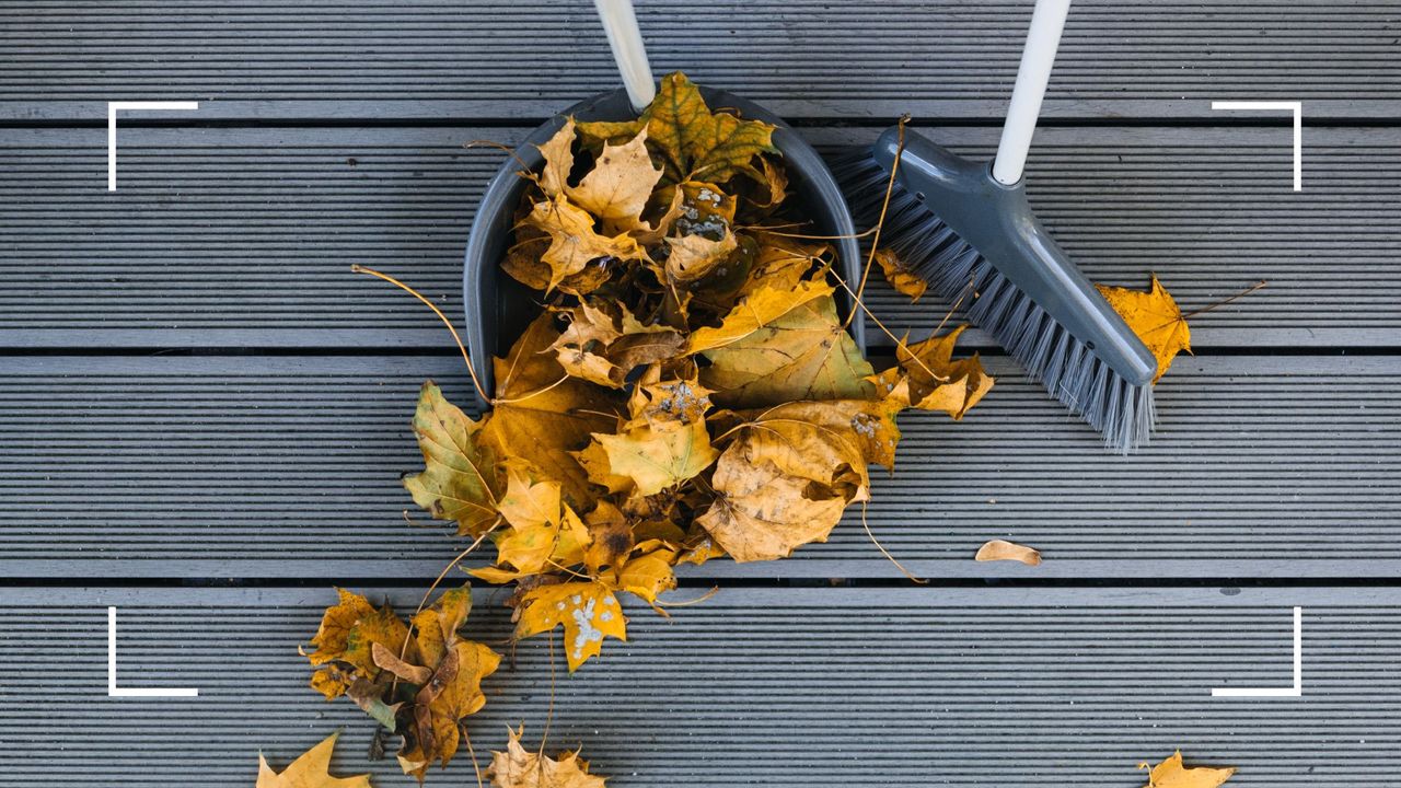 How to prepare decking for winter: experts share their guidance to ...