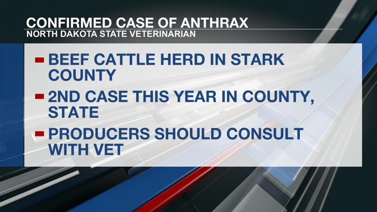 Second case of anthrax in cattle reported this year in Stark County