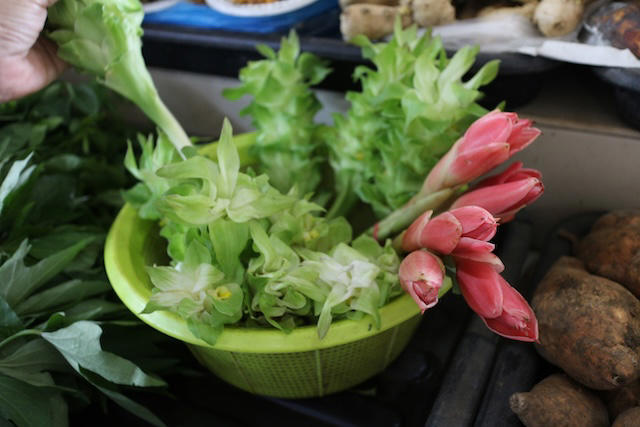 【ブルネイ旅行の新定番】家庭料理教室とスローライフ体験をEco Ponies Gardenで楽しむ