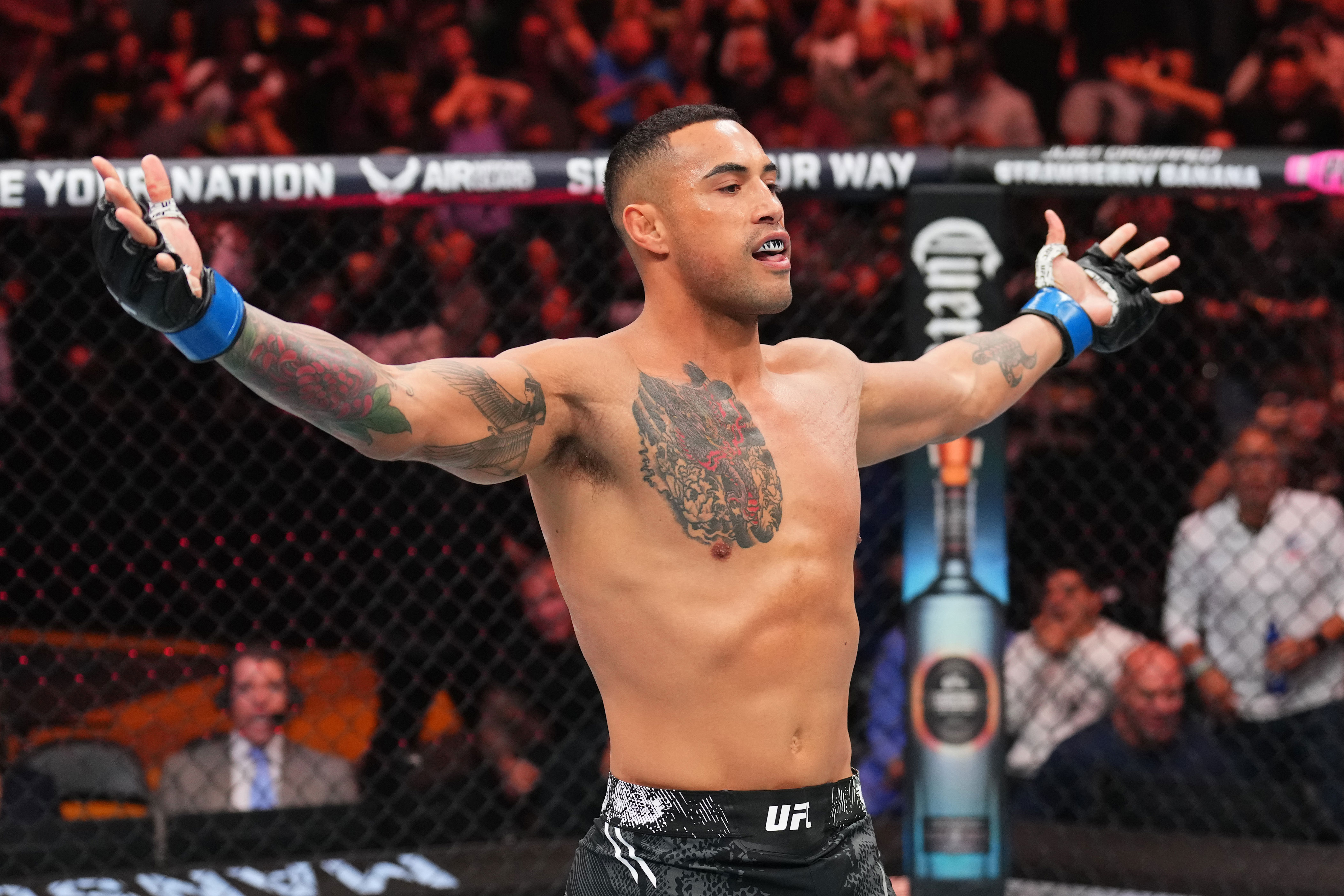 Highlights! Carlos Ulberg ices Dominick Reyes with show-stopping ...