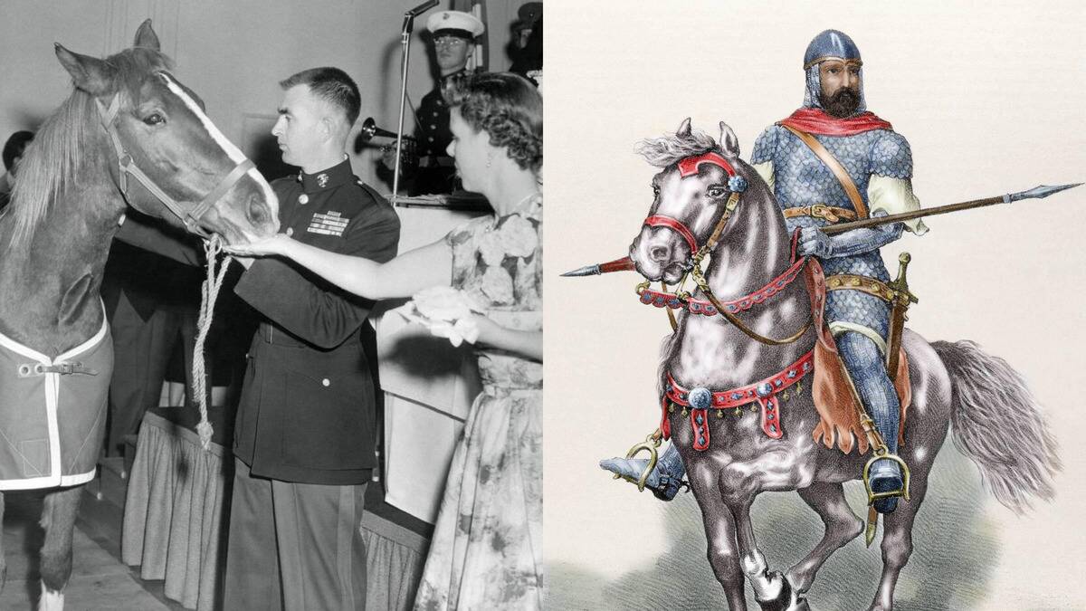 Famous war horses throughout history