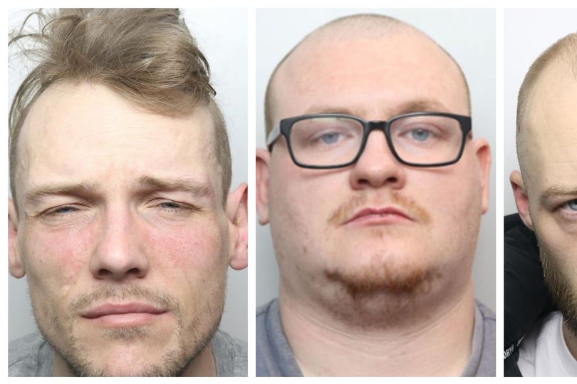 Violent mugger, 'disgusting' predator and cocky drug dealer among those ...