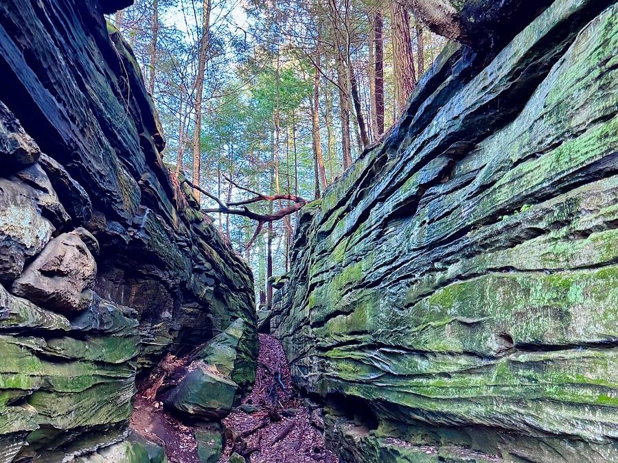 10 Best Beginner Hiking Trails in America You Need to Try