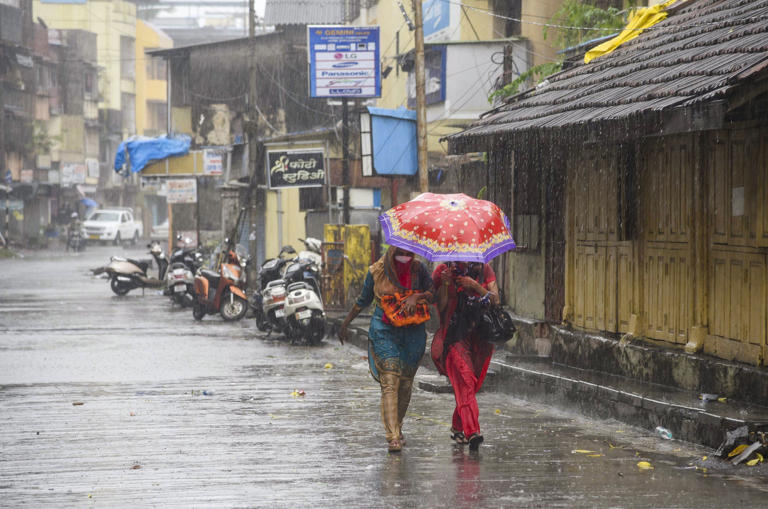 Maharashtra rainfall: Over 11,500 evacuated in Marathwada amid heavy rains; two killed in Dharashiv