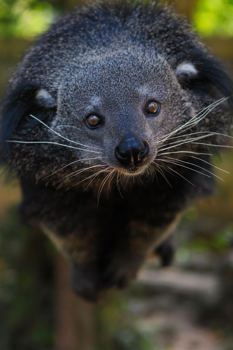 I Can't Believe You Would Scroll By Without Seeing Pictures Of My New ...