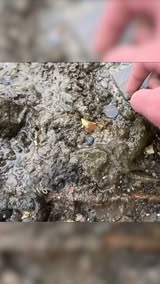 Nicola White Tideline Art Posted