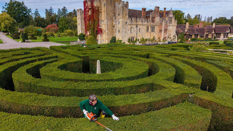 Castle maze trim 'not for the faint hearted'