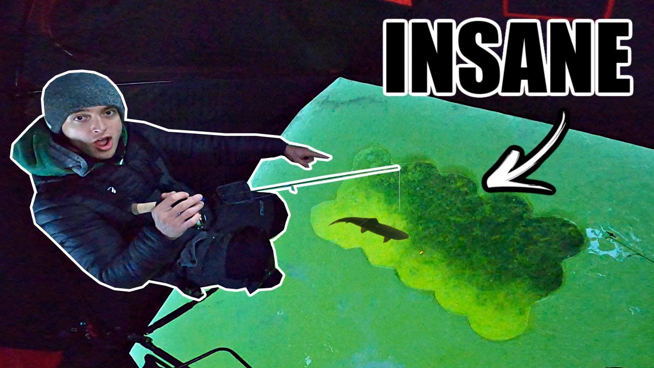 Sight fishing through thin ice on ultra clear water