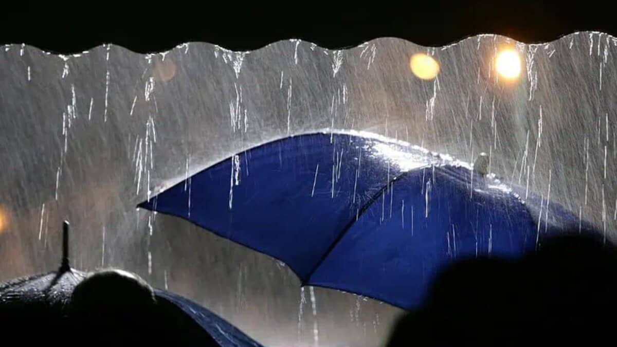 Heavy rains soak Mumbai overnight; IMD forecasts more showers