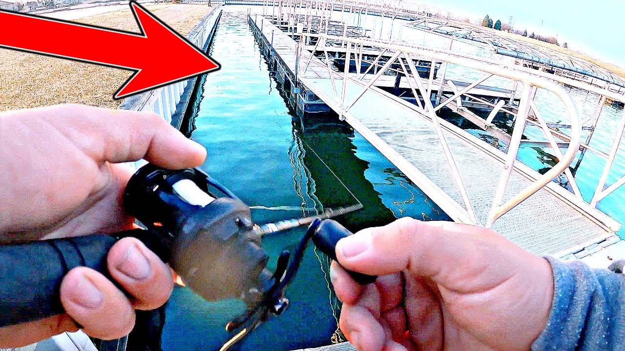 Spring fish were stacked in this tiny bank fishing spot