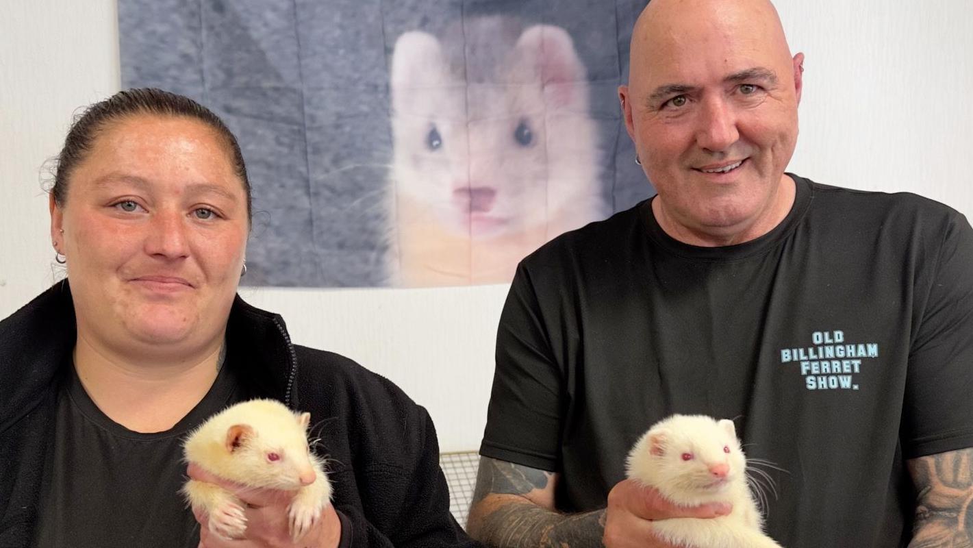 Ferret show founder delighted as 300 turn up