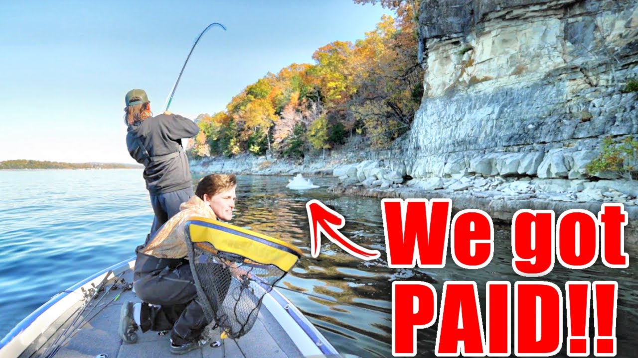 Tournament-winning bass destroy our big swimbaits