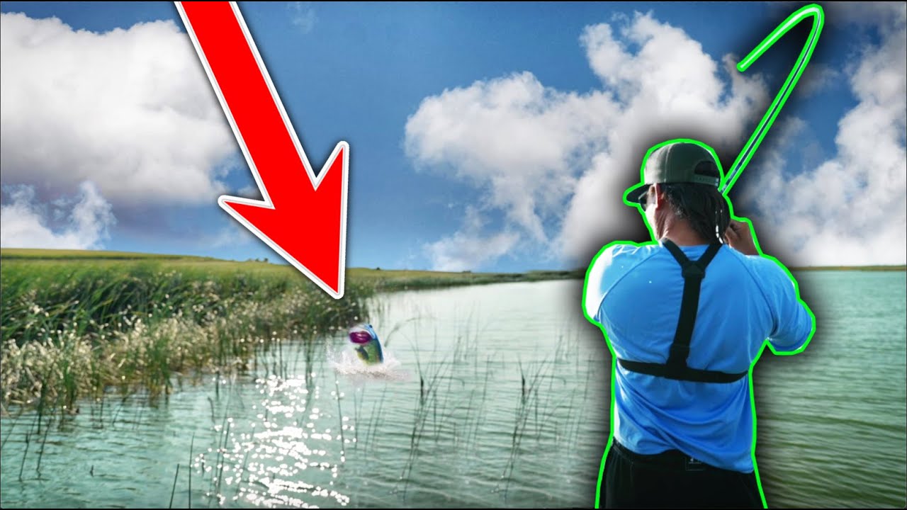 Giant fish hiding in prairie pond surprise anglers