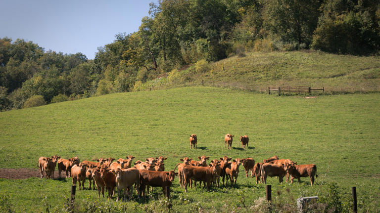 Nestled On Wisconsin's Kickapoo River Is A Village Known For Organic ...