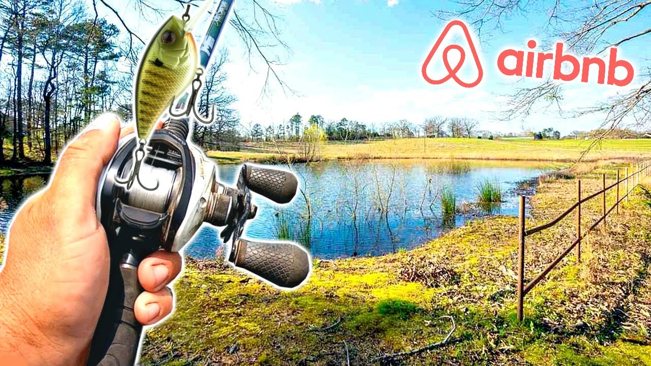 We found a hidden pond behind our Airbnb loaded with bass