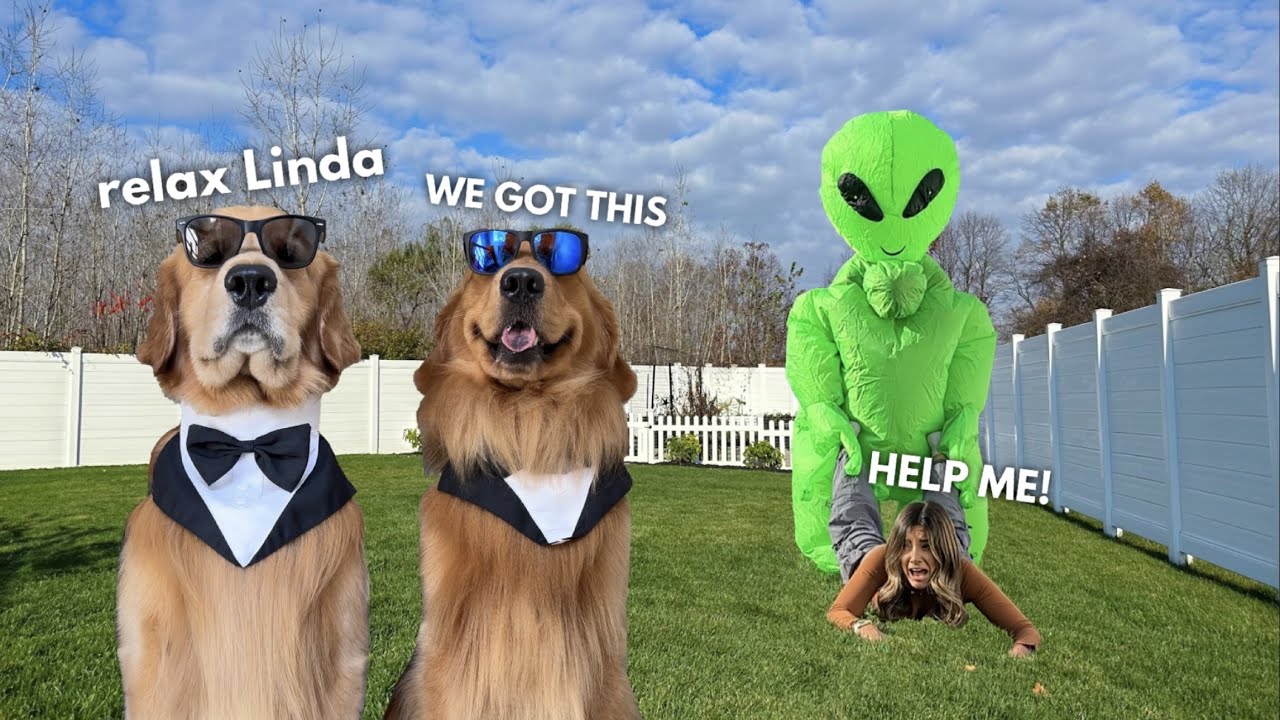 Dog Agents Save the Day