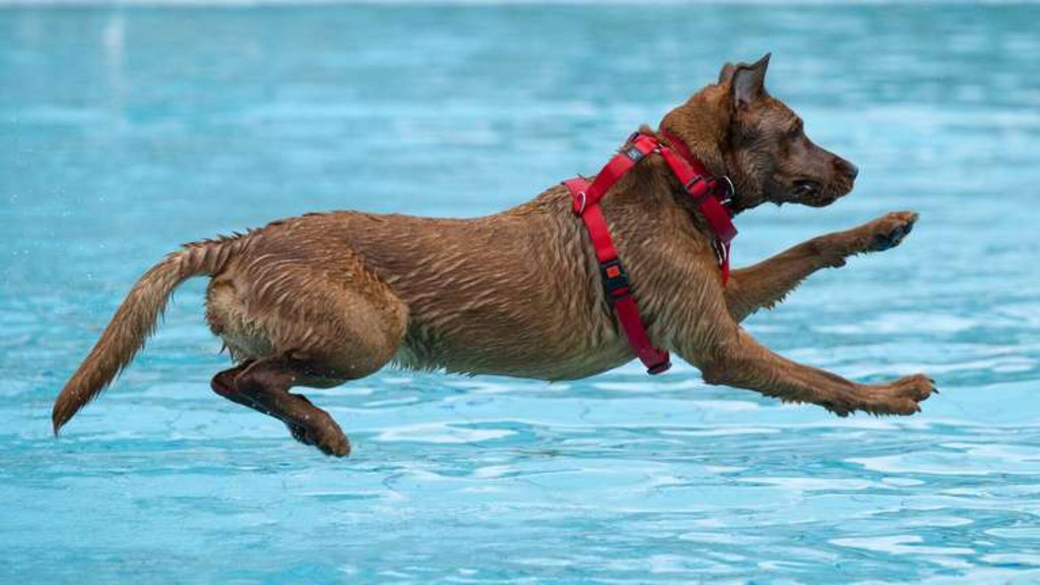 Tag der Deutschen Einheit 2025: Veranstaltungen in Schaumburg