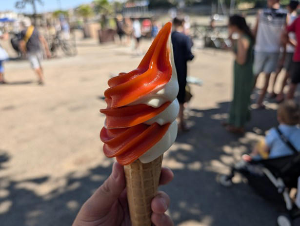 Oppo Find X9 Pro vs Google Pixel 10 Pro XL : comment choisir le ...