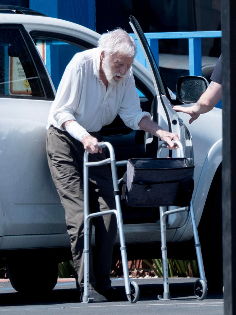 Dick Van Dyke, 99, flexes his muscles in epic workout photo with Rick Springfield