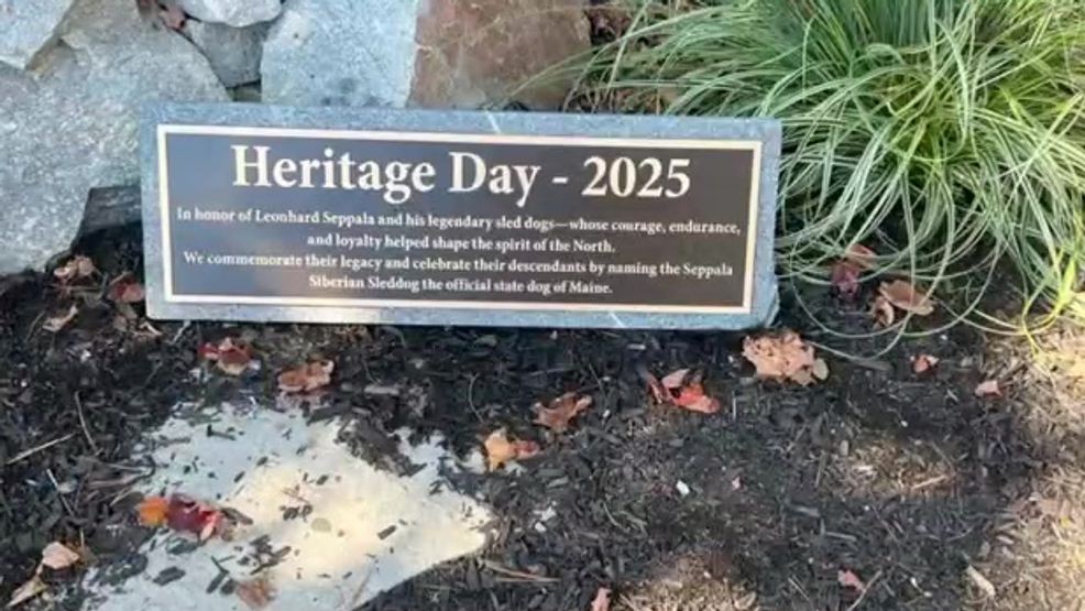 Maine names Siberian sled dog as official state dog