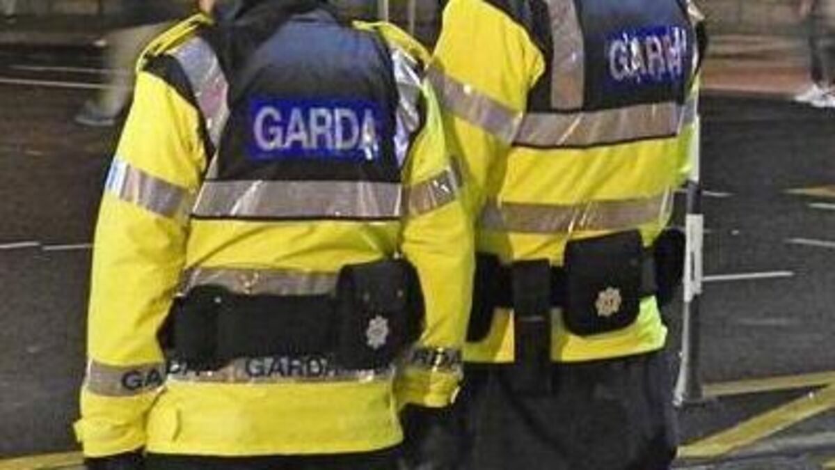 Man, 20s, arrested after 'alleged incident of false imprisonment' of ...