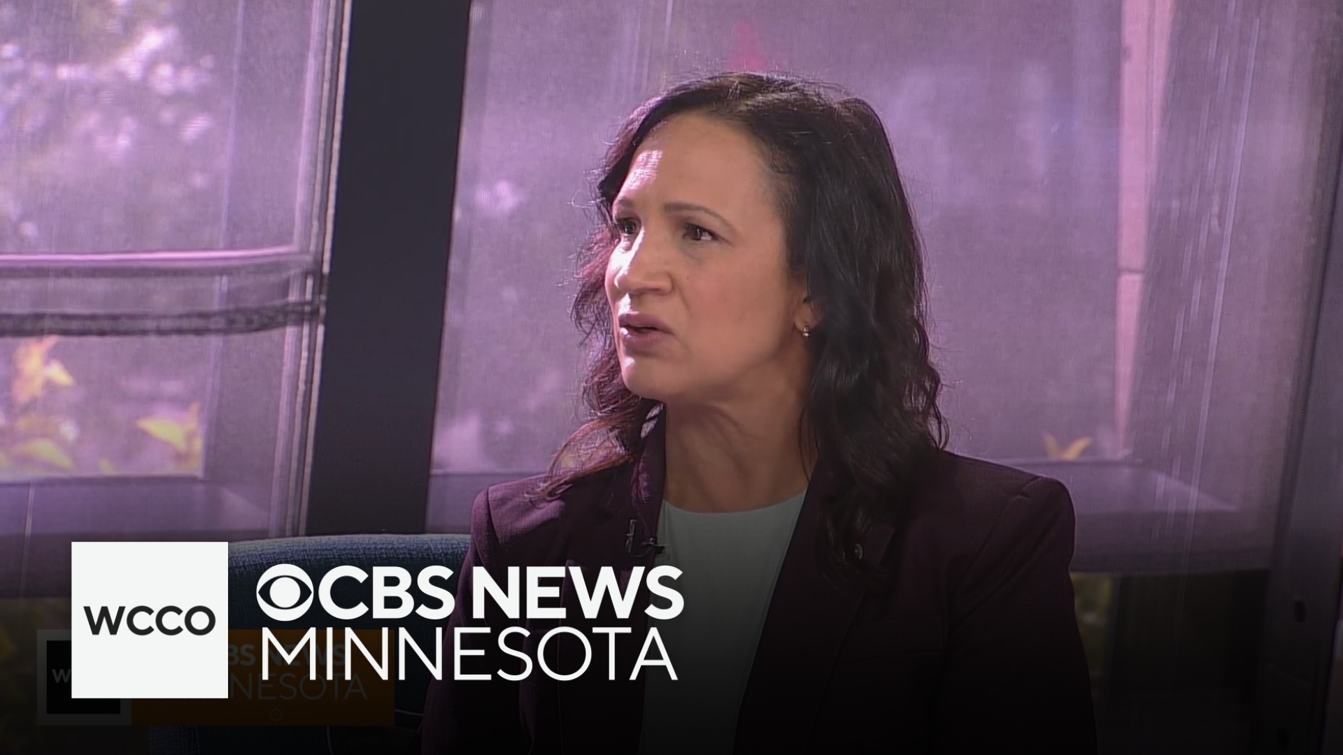 Minnesota House Speaker Lisa Demuth on special session, fraud ...
