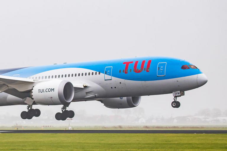 TUI flight to Cyprus declares 'bird strike' emergency after take-off ...