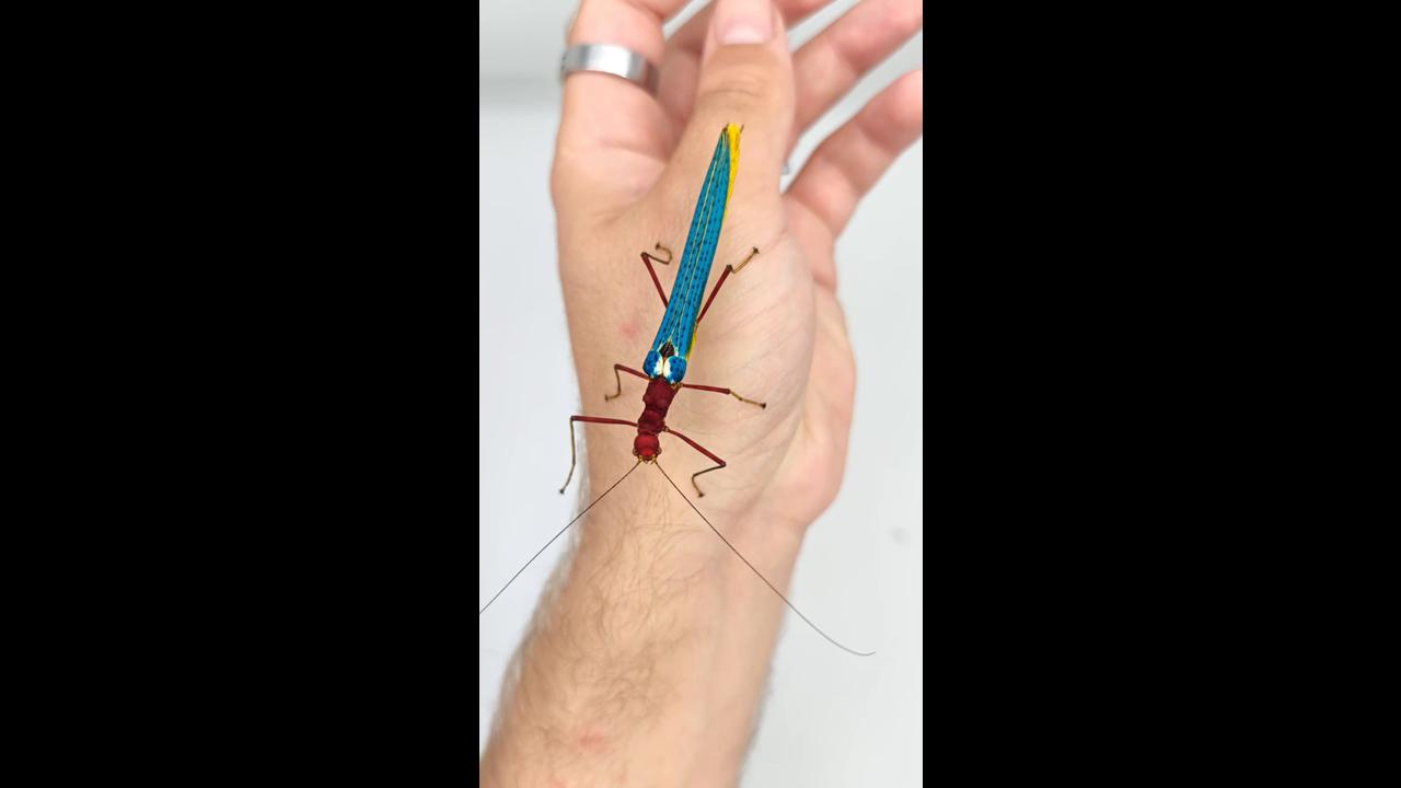 Colorful Stick Insects