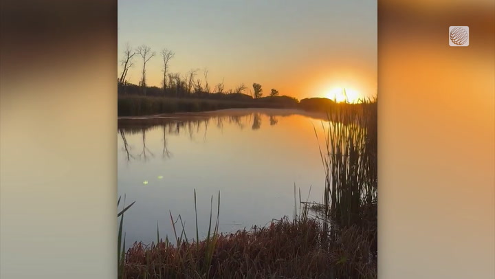 A picturesque morning view in Manitoba