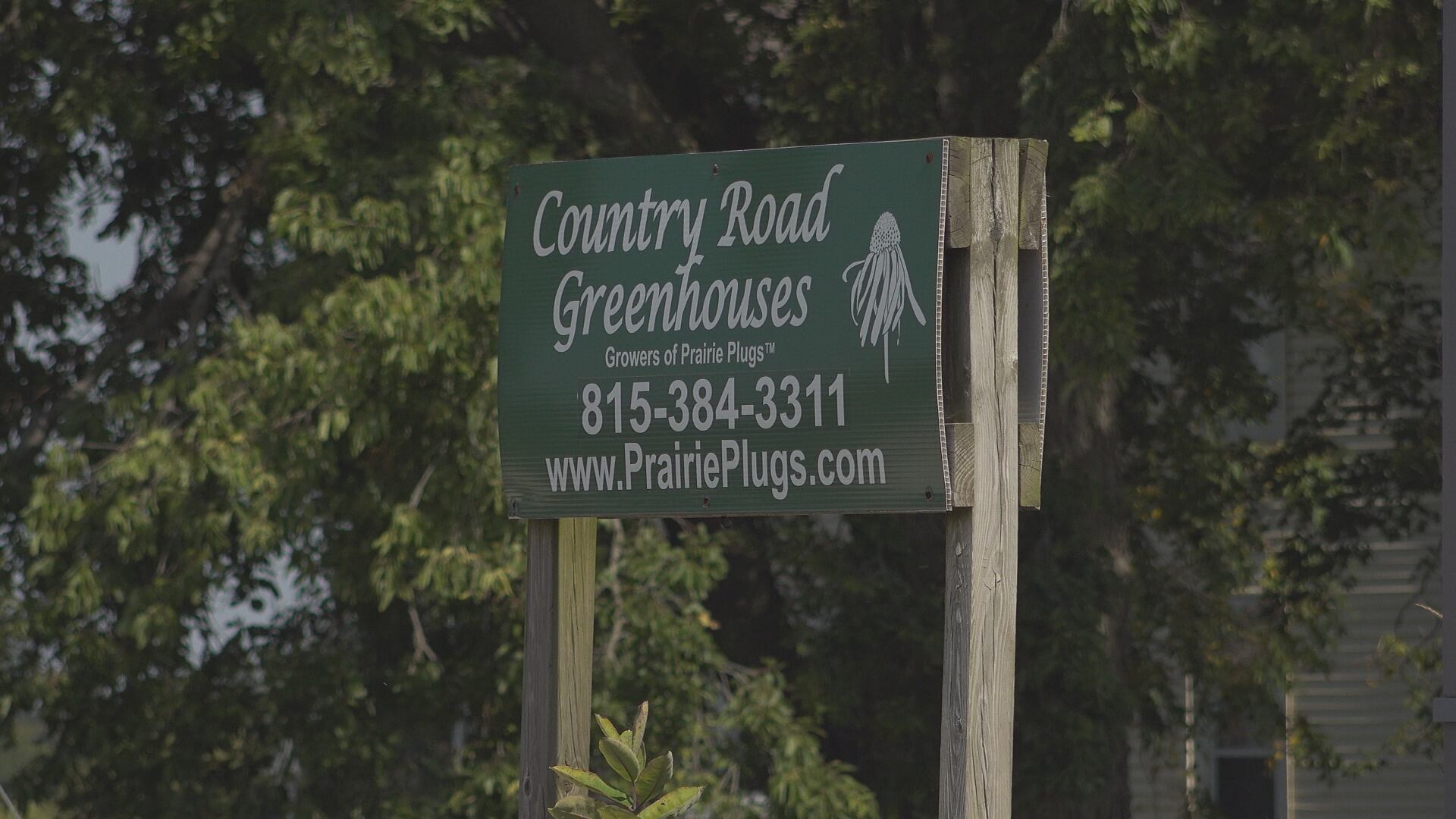 Sale at Rochelle greenhouse raises awareness on native plants