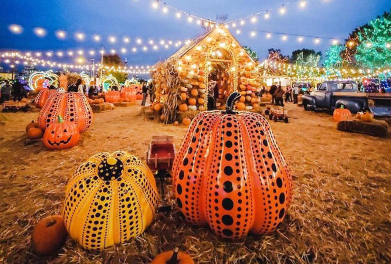 30 Best Things to Do in Chicago October 2025 with Kids, According to ...