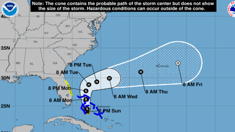 Tirphal: The Forgotten Spice From Goa’s Coastal Kitchens