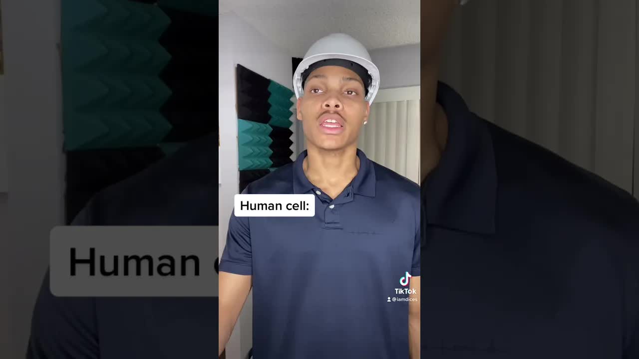 diabetes explained: the glucose delivery simulation