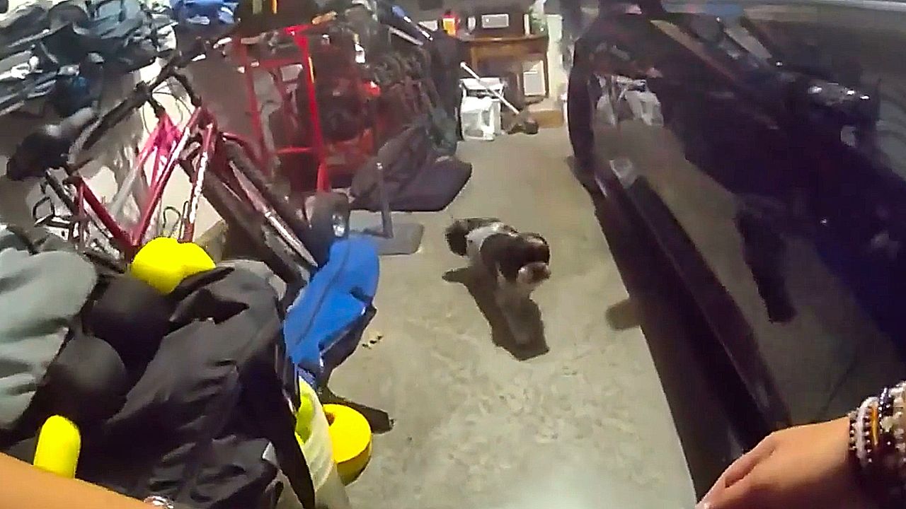 Bodycam: Maryland police rescue frightened dog from house fire