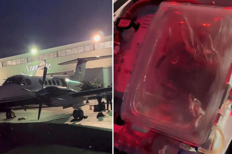 Incredible rare viral clip shows live beating heart in box ready for ...