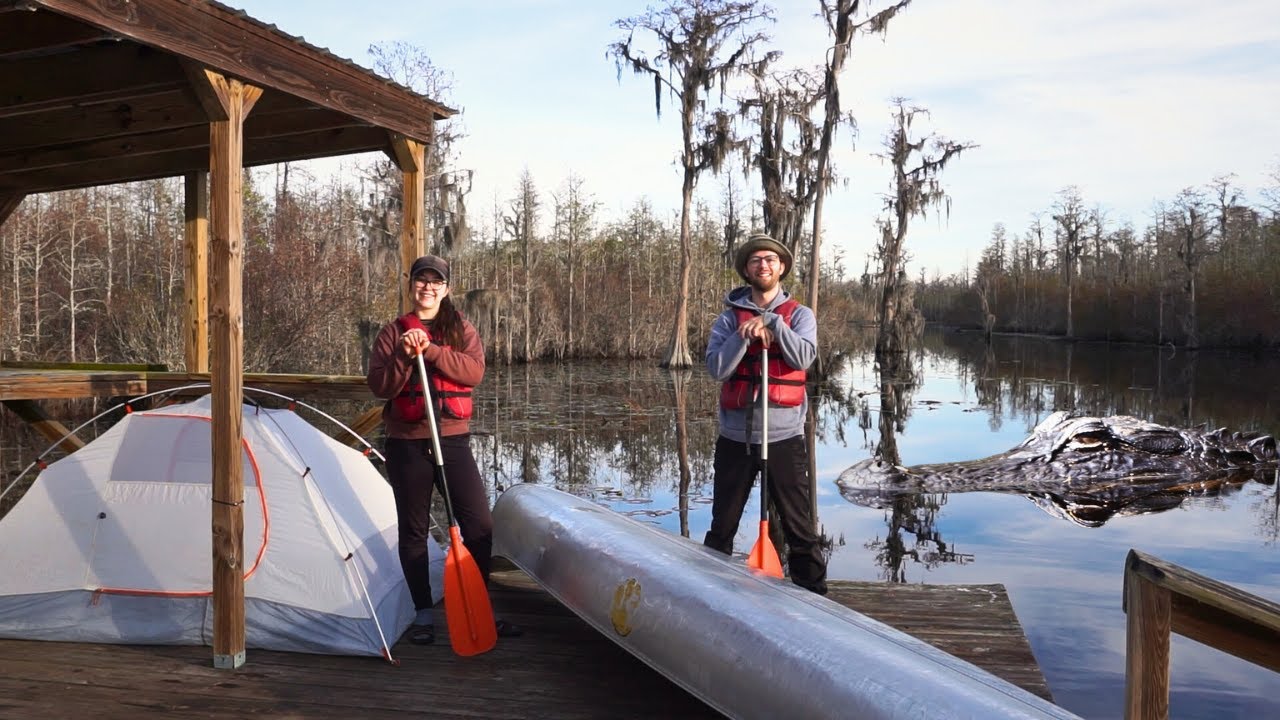 Wild canoeing in Okefenokee