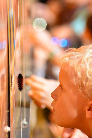 This Little-Known North Carolina Festival Predicts Winter In The ...