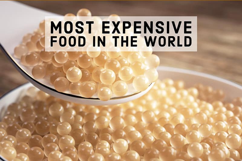 The Most Expensive Food in the World: 22 Costly Food Items