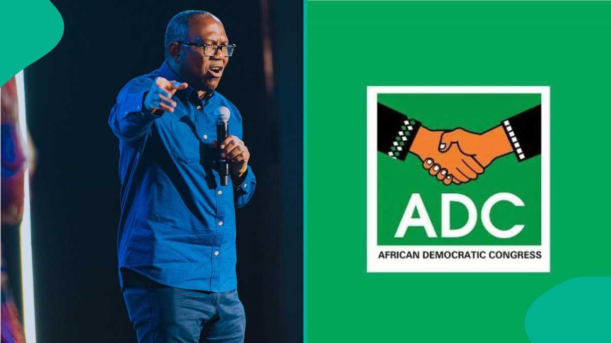 Peter Obi under fire over fresh claim on Abuja property ownership