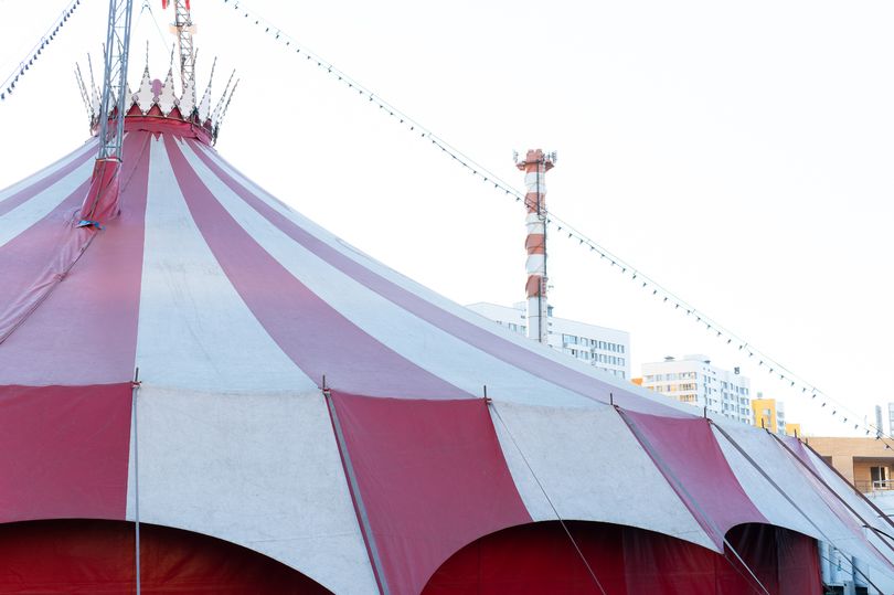 Circus performer falls to death during daring stunt in front of ...
