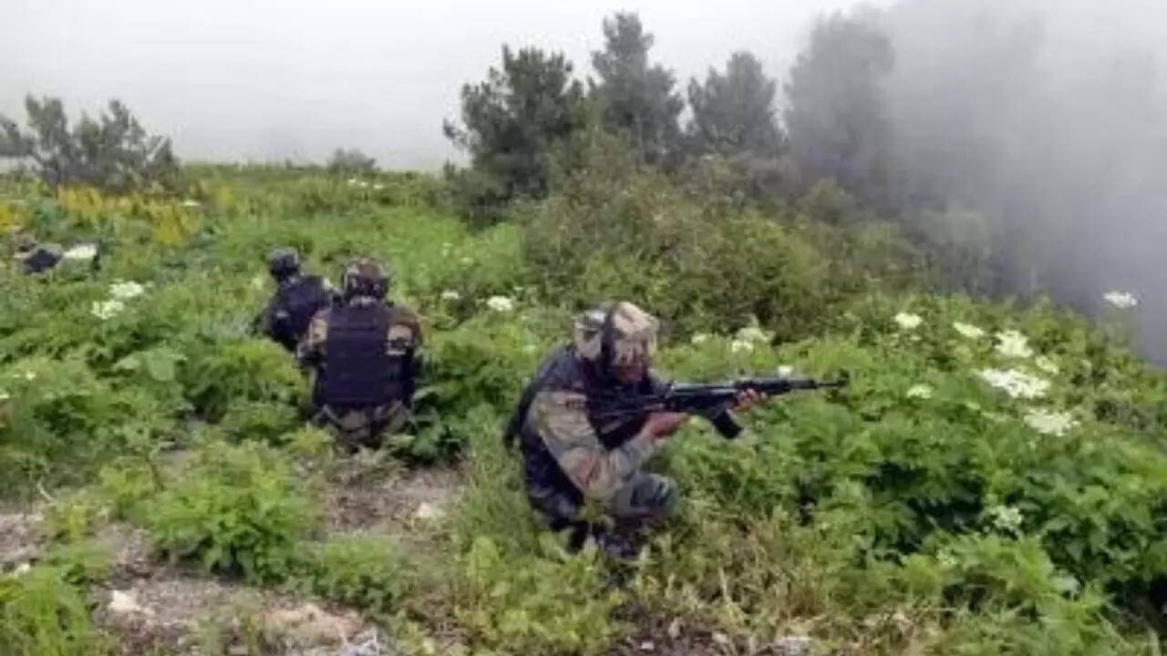 Two infiltrators killed along LoC