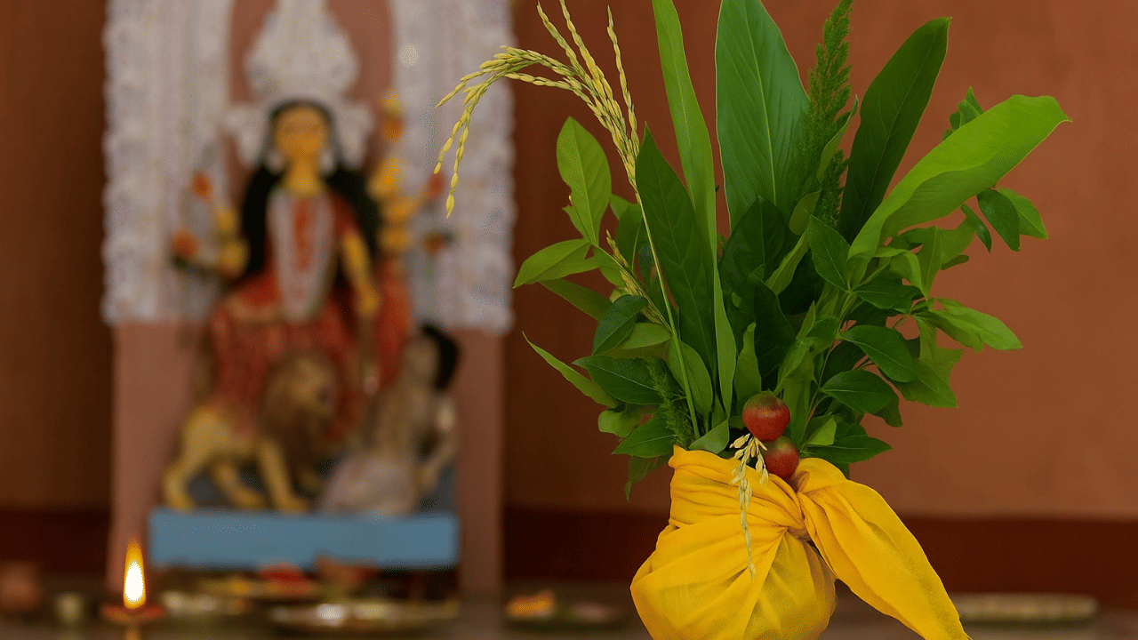 Navpatrika Puja 2025: Date, rituals, significance of Kalabou Puja ...