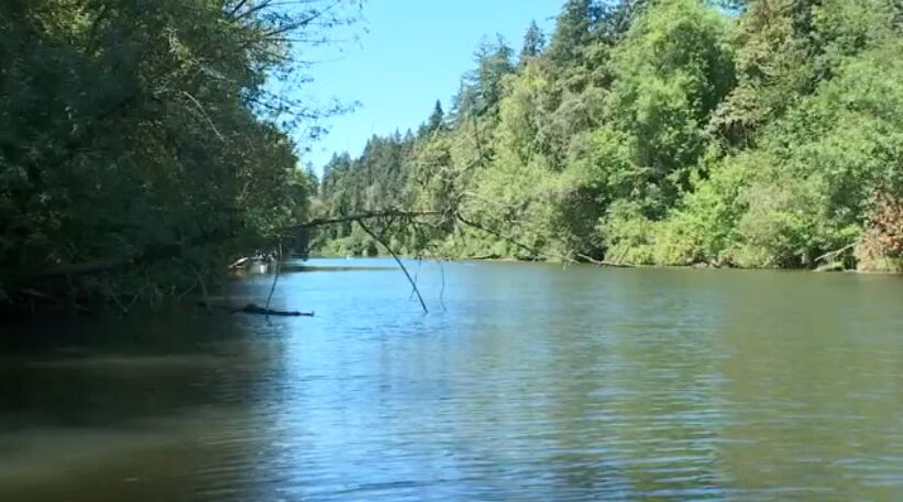 Body recovered from Tualatin River near Brown’s Ferry Park