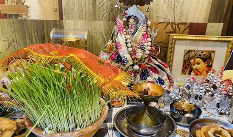 Barley Sprouts: The barley sprouts sown during the Kalash installation ...