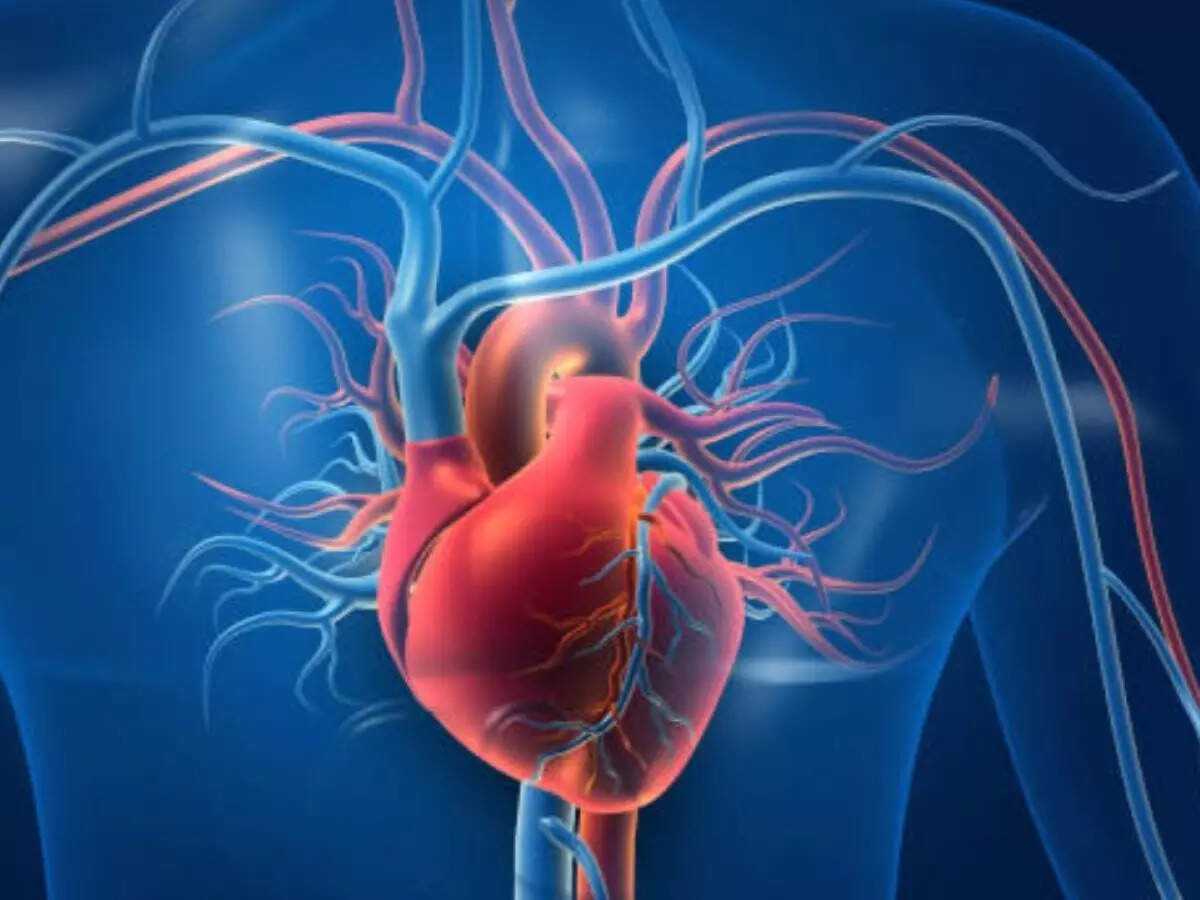 World Heart Day 2025: Importance, theme, history and regional risks in ...