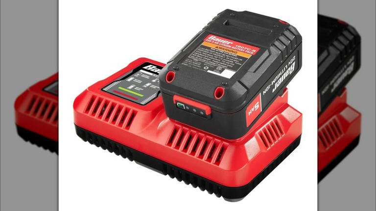 Harbor Freight's Bauer 20V 8 Amp Charger Can Charge Your Batteries 4X ...