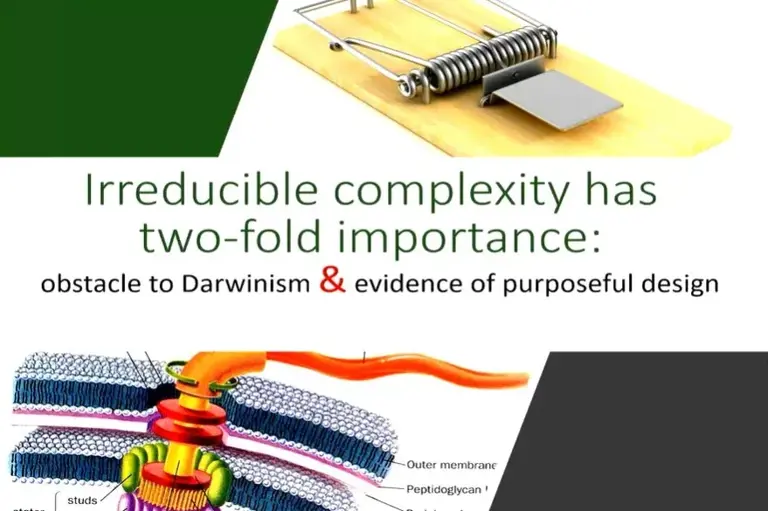 Cornell hosts talk on ‘argument for intelligent design in biology’