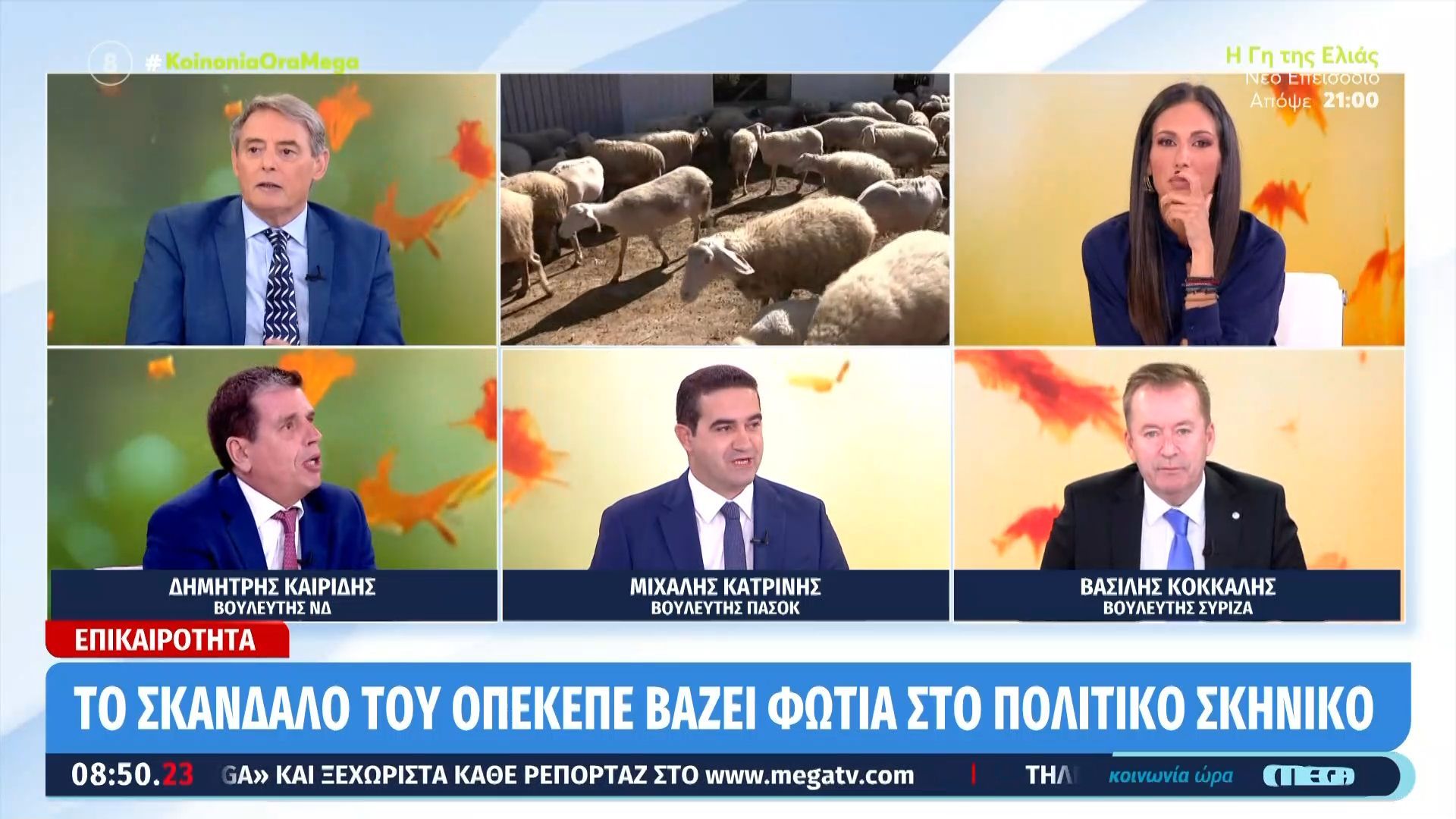 Δ. Καιρίδης για ΟΠΕΚΕΠΕ: «Η κοινωνία δεν θέλει απαντήσεις - Θέλουν το σόου»