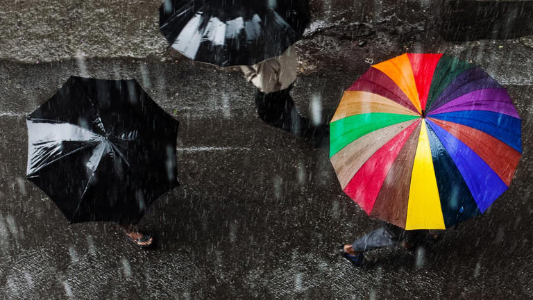 New Study Reveals El Niño Can Trigger Extreme Rainfall in Parts of India